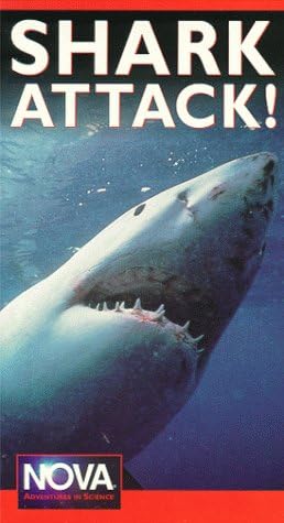 Amazon.com: Nova: Shark Attack : Nova: Movies & TV
