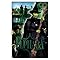 Amazon.com: Trends International Wicked - Elphaba Wall Poster, 34L x 22 ...