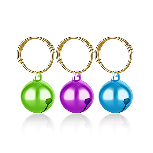 Bell for Dog Collar – The 15 best products compared - Wild Explained