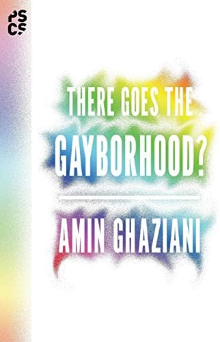 There Goes the Gayborhood? (Princeton Studies in Cultural Sociology ...