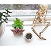 Amazon.com: Stranger Things Demogorgon 3-Inch Ceramic Mini Planter with ...