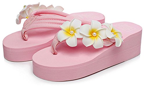 Sarah Chio's Amazon Page