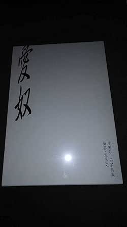 Amazon.co.jp: Super Valuables Noriko Hamada Photo Collection : Toys & Games