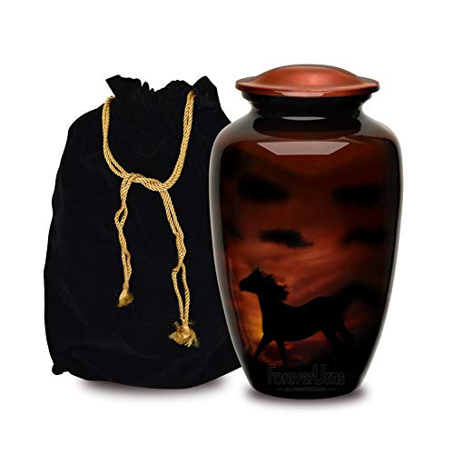 Norcold 621988 Optical Board Blk