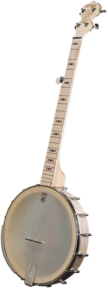 Amazon.com: Recording King RK-OT25-BR Madison Open Back Banjo, Scooped ...