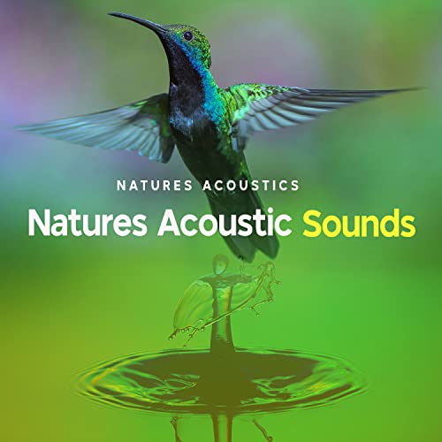 Amazon.com: Natures Acoustic Sounds : Natures Acoustics: Digital Music