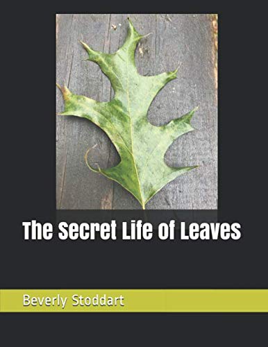 The Secret Life of Leaves : Stoddart, Beverly: Amazon.de: Bücher