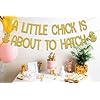 Amazon.com: A Little Chick Is About To Hatch Banner, Farm Themed Baby ...