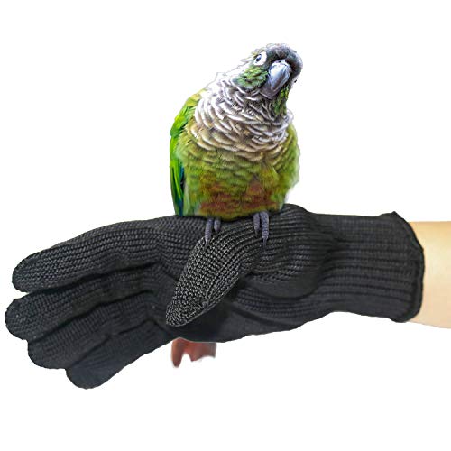Snapklik.com : Bac-kitchen Bird Training Anti-Bite Gloves, Level 5 ...