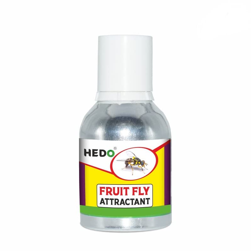 Fruit Fly Trap Methyl Eugenol at Diana Longoria blog