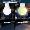 Buy PHILIPS 9W B22 LED Bulb | 3 Colors in 1 LED Bulb | Scene Switch ...