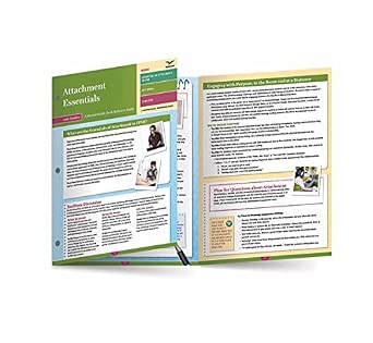 Attachment Essentials: A Mental Health Quick Reference Guide: 0 : Buy ...