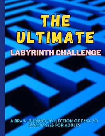 Amazon.com: The Ultimate Labyrinth Challenge: A Brain-Busting ...