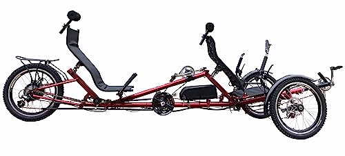 Electric Assisted Pedal Tandem Cycle | Dual Person Bike Bicycle ...