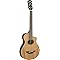 Yamaha APXT2EW TBS 3/4-Size Acoustic-Electric Guitar with Gig Bag ...