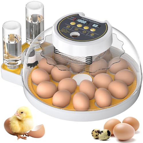 A Beginner’s Guide To Egg Incubators - Chicken Method