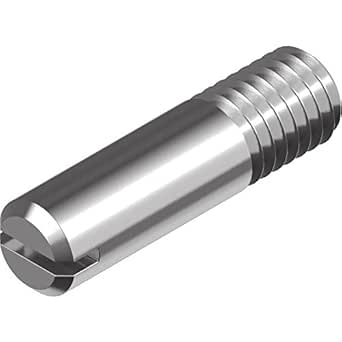 200 Stück Schaftschrauben DIN 427/ISO 2342 - Edelstahl A1 mit Schlitz M 3x 6 : Amazon.de: Baumarkt