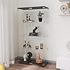 Amazon.com: HomVent Glass Display Cabinet with Doors,Glass Curio ...