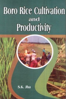 Boro Rice Cultivation and Productivity : S.K. Jha: Amazon.in: Books