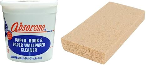 Amazon.com: Absorene Book Cleaner and Dirt Eraser (Bundle- 2 Items) for ...