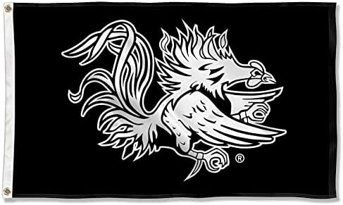Amazon.com : College Flags & Banners Co. South Carolina Gamecocks ...