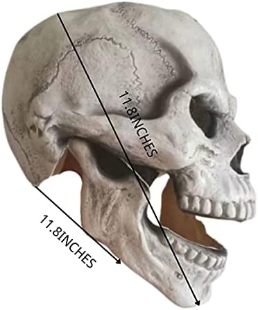 Amazon.com: Halloween Skull Mask Movable Jaw,Creepy Halloween Skeleton ...