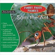 Amazon.in: Buy Funny Photo Phonics: Sam The Ant (English) Book Online ...