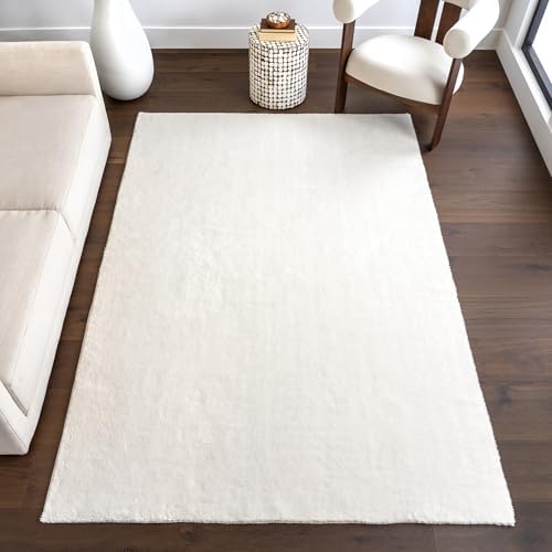 Amazon.com: Puremy 6x9 Super Soft White Rugs for Living Room, Fluffy ...