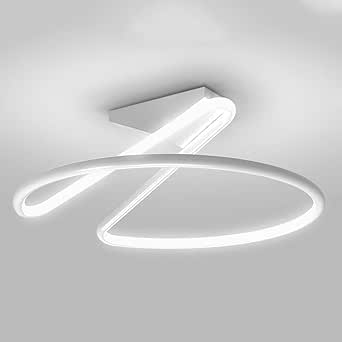 FAZRPIP Simple LED Ceiling Light Dimmable Living Room Kitchen Flush ...