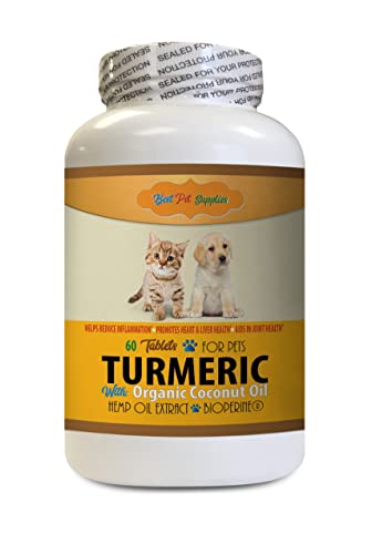10 Best Turmeric For Cats