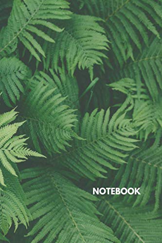 Amazon Basics Classic Lined Notebook, 120 Pages,awsome cover - Ruled ...