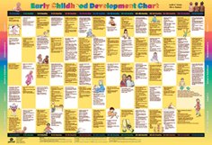Early Childhood Development Chart, 25 Pack : Voress, Judith K.: Amazon ...