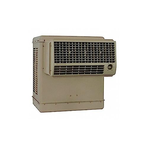 Best Window Swamp Coolers – 2022 Guide