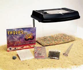 Amazon.com: Triassic Triops DLX Kit, 20-30 eggs : Toys & Games