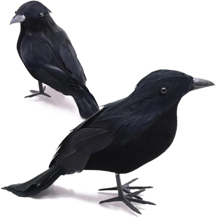 Amazon.com : JLJIUBBKX Realistic Black Feather Crow Statues, Set of 2 ...