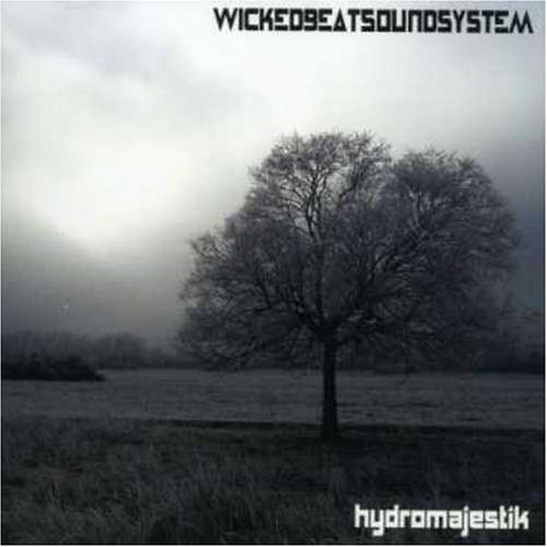 Wicked Beat Sound System - Hydromajestik - Amazon.com Music