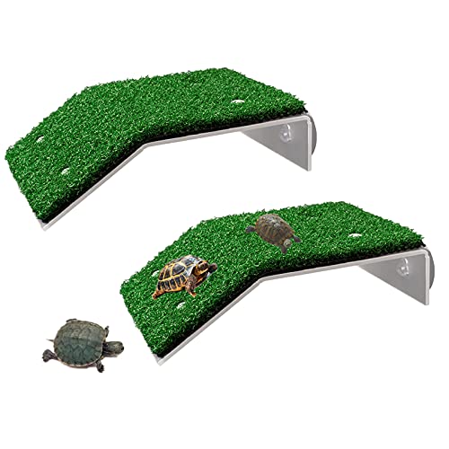 Discover the Top 10 Thrive Elevated Basking Lofts – Your Ultimate ...