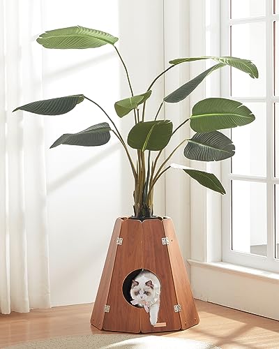 Best Hidden Litter Boxes for a Neat and Tidy Home