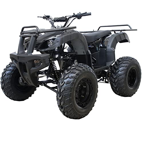 The 7 Best Quads - Guide