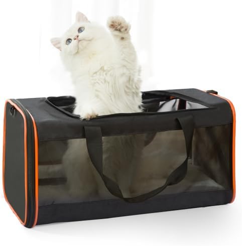 Amazon.com : ZLONG Pet Carrier Soft-Sided for Large Cats and Medium ...