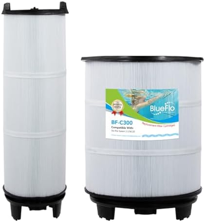 Amazon.com : ZOTEE Pool Filters Cartridge Inner and Outer Set Replaces ...