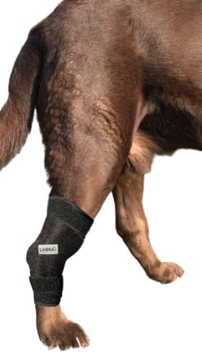 How Do You Treat A Dogs Sprained Tail
