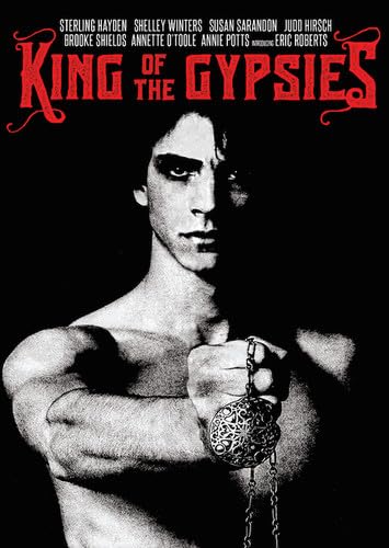 Amazon.com: King of the Gypsies : Eric Roberts, Sterling Hayden, Judd ...