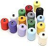 Amazon.com: KEIMIXJIA Polyester Sewing Threads 24 Colors 1000 Yards ...