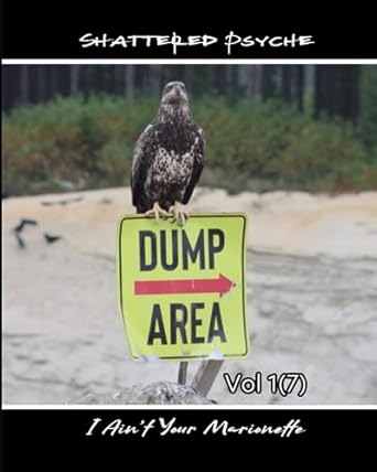 Amazon.com: Shattered Psyche Vol 1(7): 9781998213009: Moldovan, Marie ...
