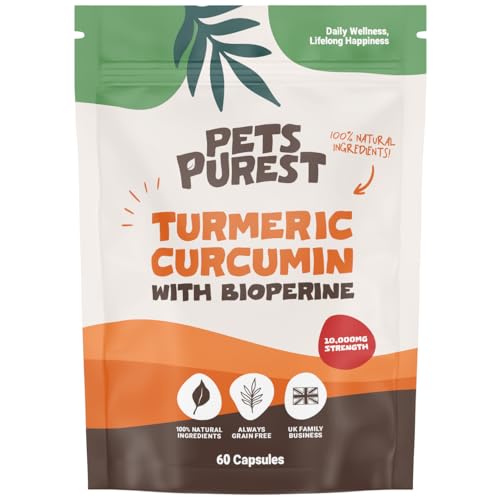 Best Turmeric Capsules For Dogs in the UK - 2026