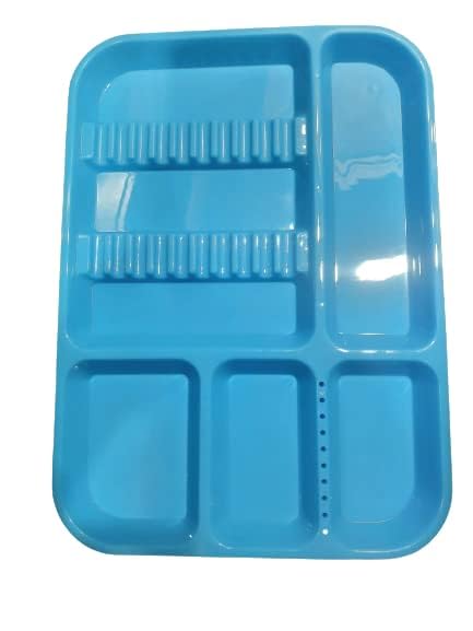 DENTAL TOOL Instrument Tray Big (Pack of 1) (Sky Blue) : Amazon.in ...