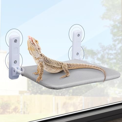 Amazon.com : Bearded Dragon Hammock, Lizard Window Perch, Wooden ...