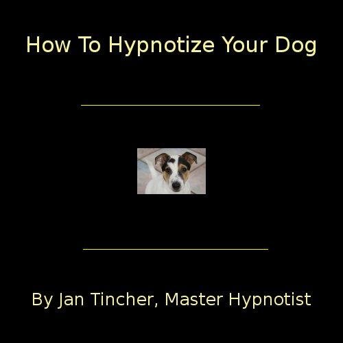 How To Hypnotize Your Dog - Kindle edition by Tincher, Jan. Crafts ...