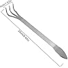 Amazon.com : Stainless Steel Root Rake 3-Prong Loosen Soil Bonsai Tree ...